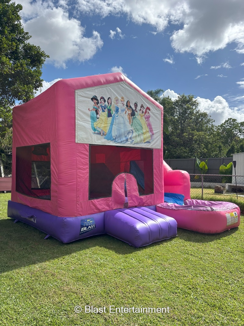 👸 4x5 Pink Princesses Themed Jumping Castle - Jumping Castle Hire in ...